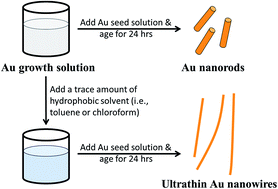Unconventional seed-mediated growth of ultrathin Au nanowires in ...
