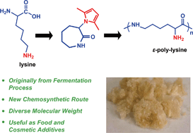 New chemosynthetic route to linear ε-poly-lysine - Chemical Science ...