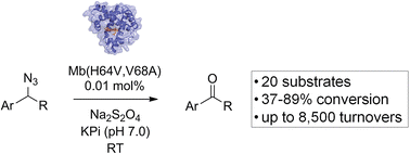 Efficient conversion of primary azides to aldehydes catalyzed by active ...
