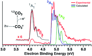 Negative ion photoelectron spectroscopy confirms the prediction that ...