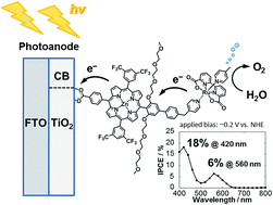 Visible light-driven water oxidation using a covalently-linked ...