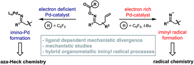 Dichotomous mechanistic behavior in Narasaka–Heck cyclizations ...