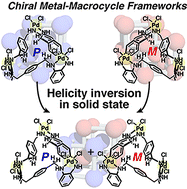 Chiral metal–macrocycle frameworks: supramolecular chirality induction and helicity inversion of ...