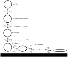 Molecular-level understanding of the adsorption mechanism of a graphite ...