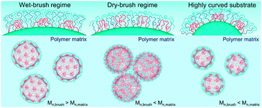 Environmentally responsive self-assembly of mixed poly(tert-butyl ...