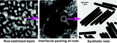 Bijels stabilized using rod-like particles - Soft Matter (RSC Publishing)