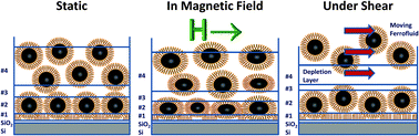 Self assembly of magnetic nanoparticles at silicon surfaces - Soft ...