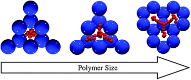 Tuning polymer architecture to manipulate the relative stability of ...