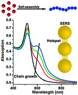 Directed self-assembly of gold nanoparticles into plasmonic chains ...