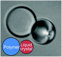 Liquid crystal Janus emulsion droplets: preparation, tumbling, and ...