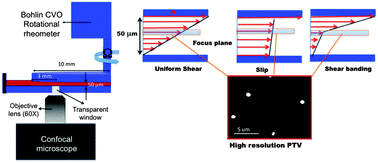 Shear banding in entangled polymers in the micron scale gap: a confocal ...