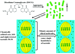 Chirality amplification and detection by tactoids of lyotropic ...