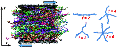 Structure and rheology of star polymers in confined geometries: a ...