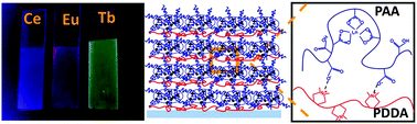 Dynamics of the layer-by-layer assembly of a poly(acrylic acid ...