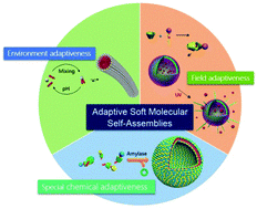 Adaptive soft molecular self-assemblies - Soft Matter (RSC Publishing)