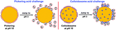 Giant pH-responsive microgel colloidosomes: preparation, interaction ...