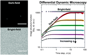 Dark-field differential dynamic microscopy - Soft Matter (RSC Publishing)
