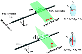 Tunable optofluidic birefringent lens - Soft Matter (RSC Publishing)