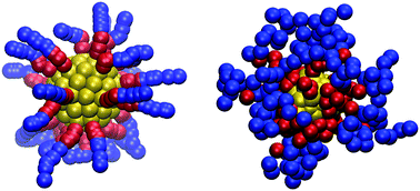 Highly grafted polystyrene/polyvinylpyridine polymer gold nanoparticles ...