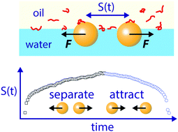 Interfacial rheometry of polymer at a water–oil interface by intra-pair ...