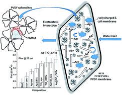 Unique nanoporous antibacterial membranes derived through ...
