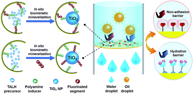 Fabrication of antifouling polymer–inorganic hybrid membranes through ...