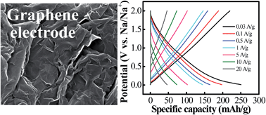 Graphene nanosheets, carbon nanotubes, graphite, and activated carbon ...