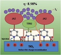 Picolinic acid as an efficient tridentate anchoring group adsorbing at ...