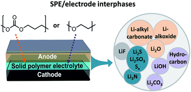 At the polymer electrolyte interfaces: the role of the polymer host in ...