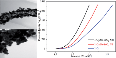 An oxygen evolution catalyst on an antimony doped tin oxide nanowire ...