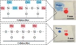 Fabrication of oleophobic paper with tunable hydrophilicity by ...
