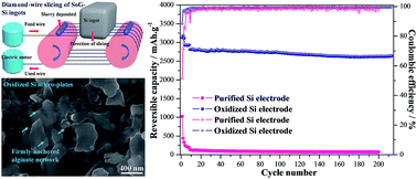 Robust polymeric coating enables the stable operation of silicon micro ...