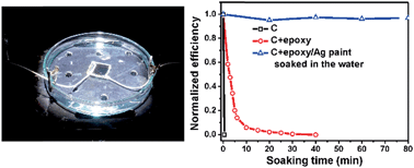 A multifunctional C + epoxy/Ag-paint cathode enables efficient and ...