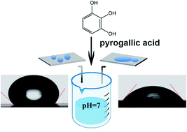 Pyrogallic acid coated polypropylene membranes as separators for ...