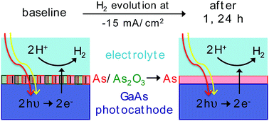 Remarkable stability of unmodified GaAs photocathodes during hydrogen ...