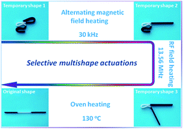 Selectively actuated multi-shape memory effect of a polymer ...
