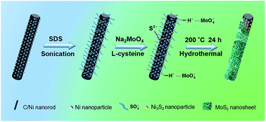 Hierarchical carbon@Ni3S2@MoS2 double core–shell nanorods for high-performance supercapacitors ...