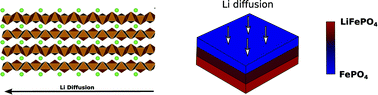 The thermodynamic stability of intermediate solid solutions in LiFePO4 ...