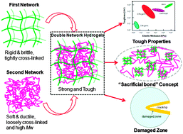Fundamentals of double network hydrogels - Journal of Materials Chemistry B (RSC Publishing)