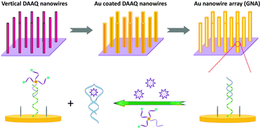 Facile fabrication of a three-dimensional gold nanowire array for high ...