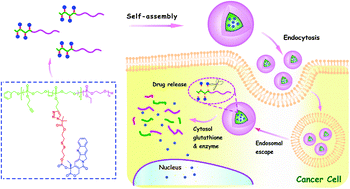 A polyphosphoester-conjugated camptothecin prodrug with disulfide ...
