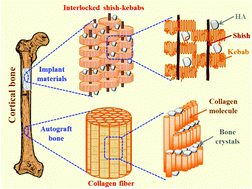 Injection-molded hydroxyapatite/polyethylene bone-analogue ...