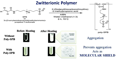 A zwitterionic polymer as a novel inhibitor of protein aggregation - Journal of Materials ...