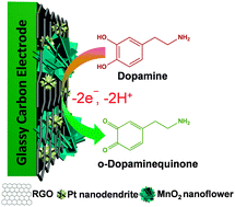 A three dimensional Pt nanodendrite/graphene/MnO2 nanoflower modified ...