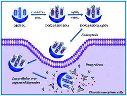 A dopamine responsive nano-container for the treatment of ...