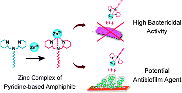 A zinc complex of a neutral pyridine-based amphiphile: a highly ...