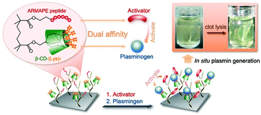 Surfaces having dual affinity for plasminogen and tissue plasminogen ...