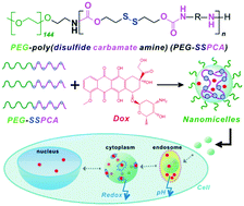 Self-assembled micelles of PEG–poly(disulfide carbamate amine ...