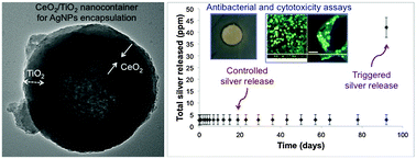 Synthesis, characterization, antibacterial activity and cytotoxicity of ...