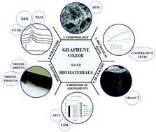 Gelatin–poly(vinyl alcohol) porous biocomposites reinforced with ...